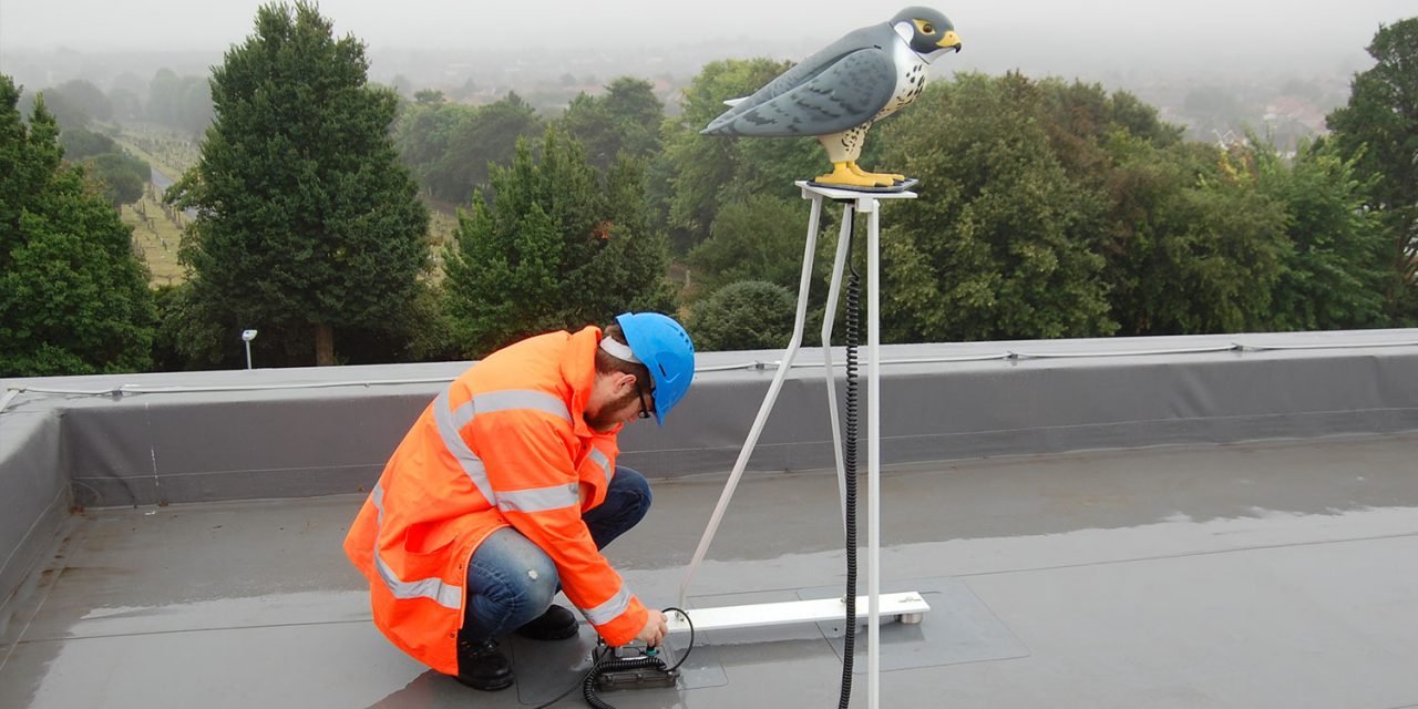 What We Do | Robop Ltd